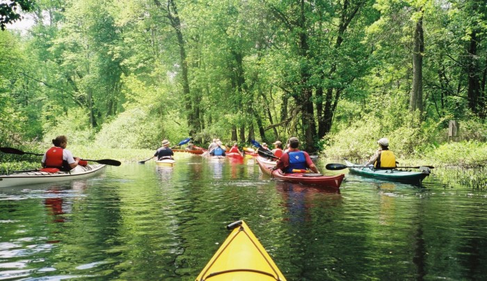 Great Swamp Paddle 008