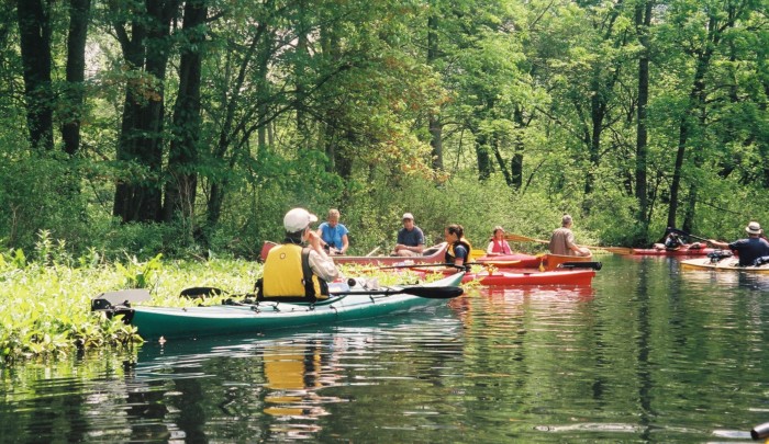 Great Swamp Paddle 011